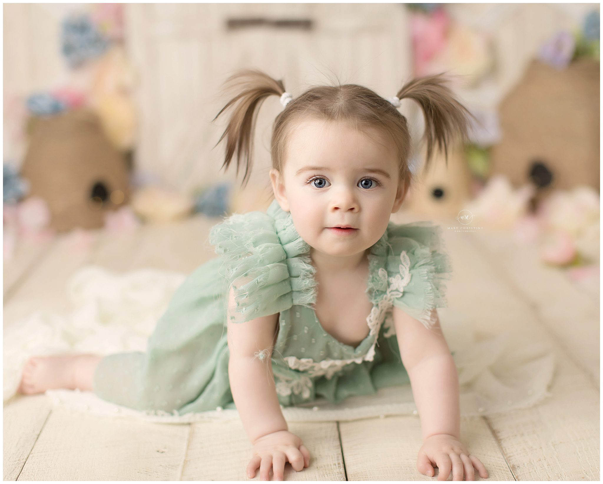 Baby Girl First Birthday - Mary Christine Photography